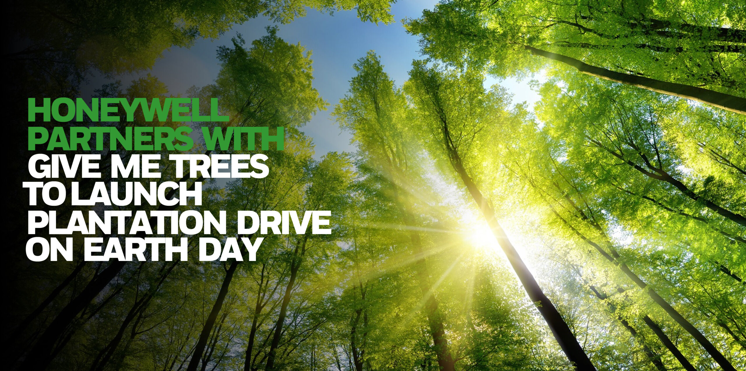 HONEYWELL PARTNERS WITH GIVE ME TREES TO LAUNCH PLANTATION DRIVE ON ...